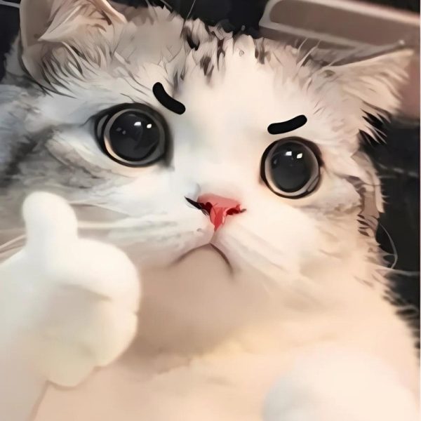 99+ meme mèo cười đểu, haha, nhếch mép, chỉ tay nham hiểm - JBAGY